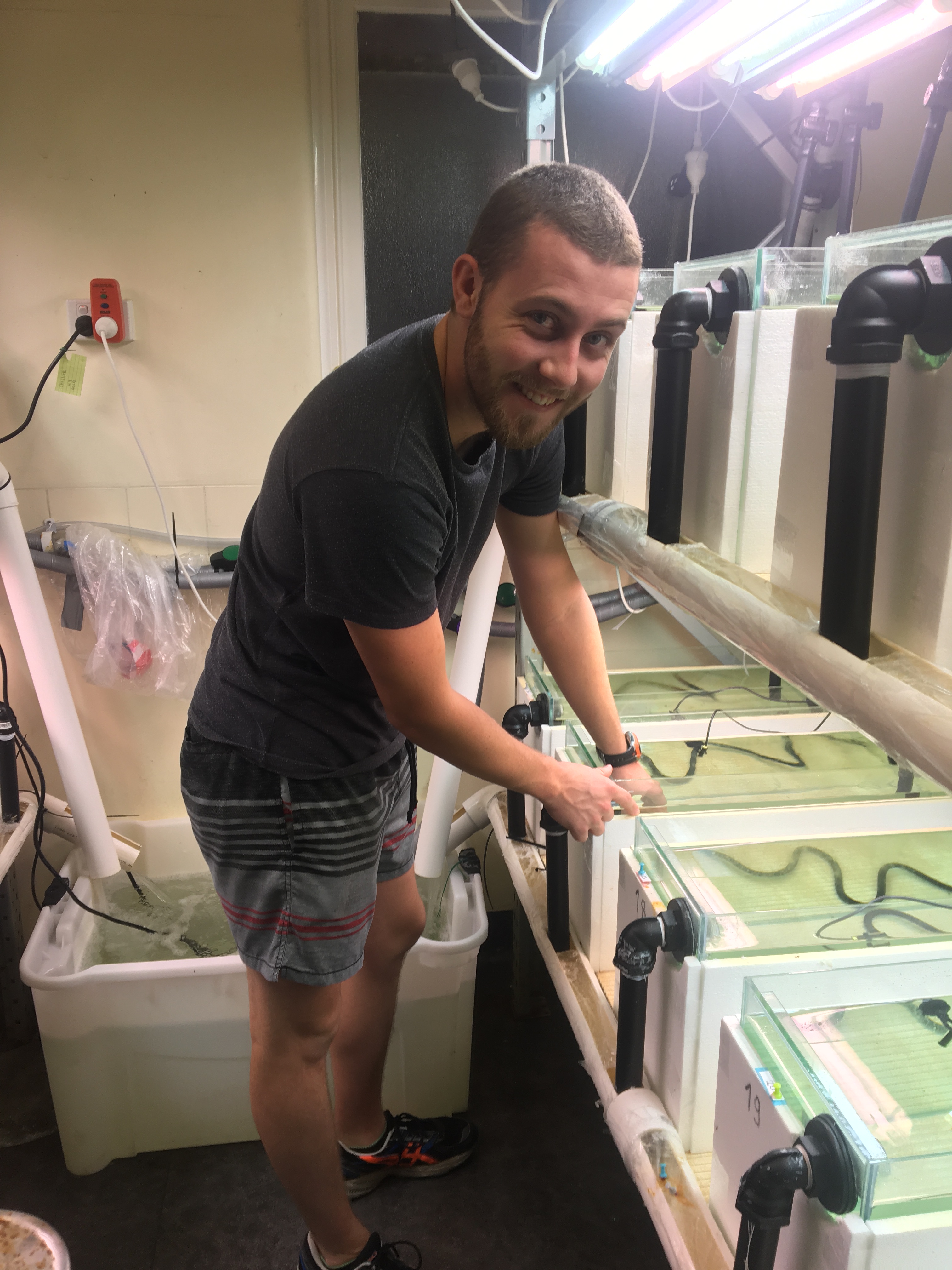 Tullem | Wernberg & Filbee-Dexter Labs