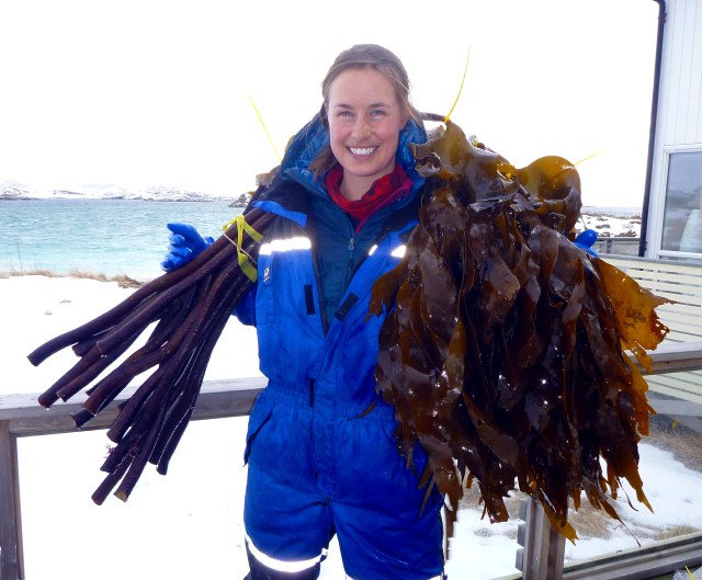 Karen Filbee-Dexter (ARC Future Fellow) | Wernberg & Filbee-Dexter Labs